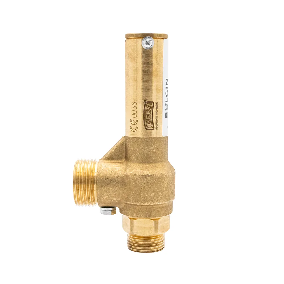 Safety Relief Valve MS-FKM G14/S G3/4 Male 16bar | Bulgin Group